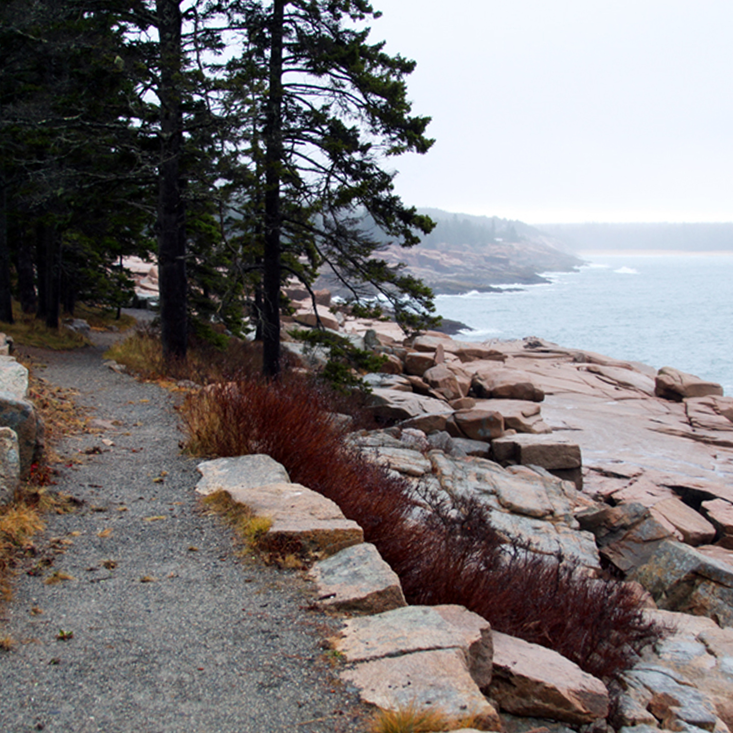 This Month in Acadia - Acadia National Park (U.S. National Park Service)