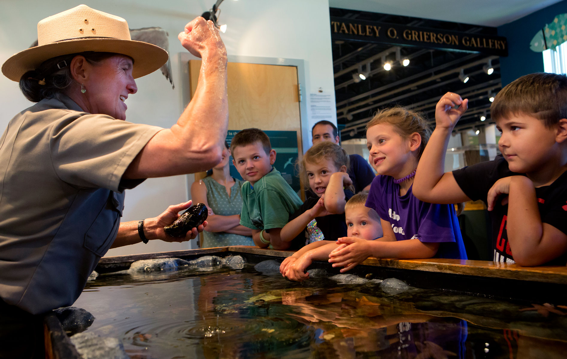 Attend a Ranger Program - Acadia National Park (U.S. National Park Service)