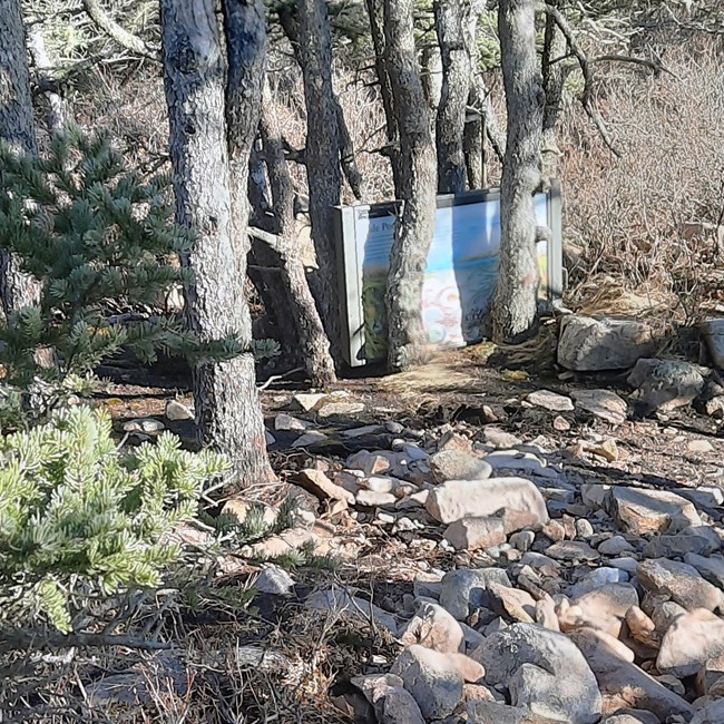 Current Conditions - Acadia National Park (U.S. National Park Service)