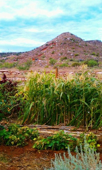 Things To Do - Alibates Flint Quarries National Monument (U.S. National ...
