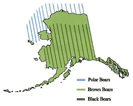 Bear Safety in Alaska - Alaska Public Lands (U.S. National Park Service)