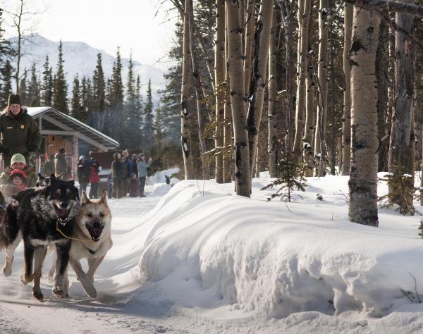 Dog Mushing - Alaska Public Lands (U.S. National Park Service)