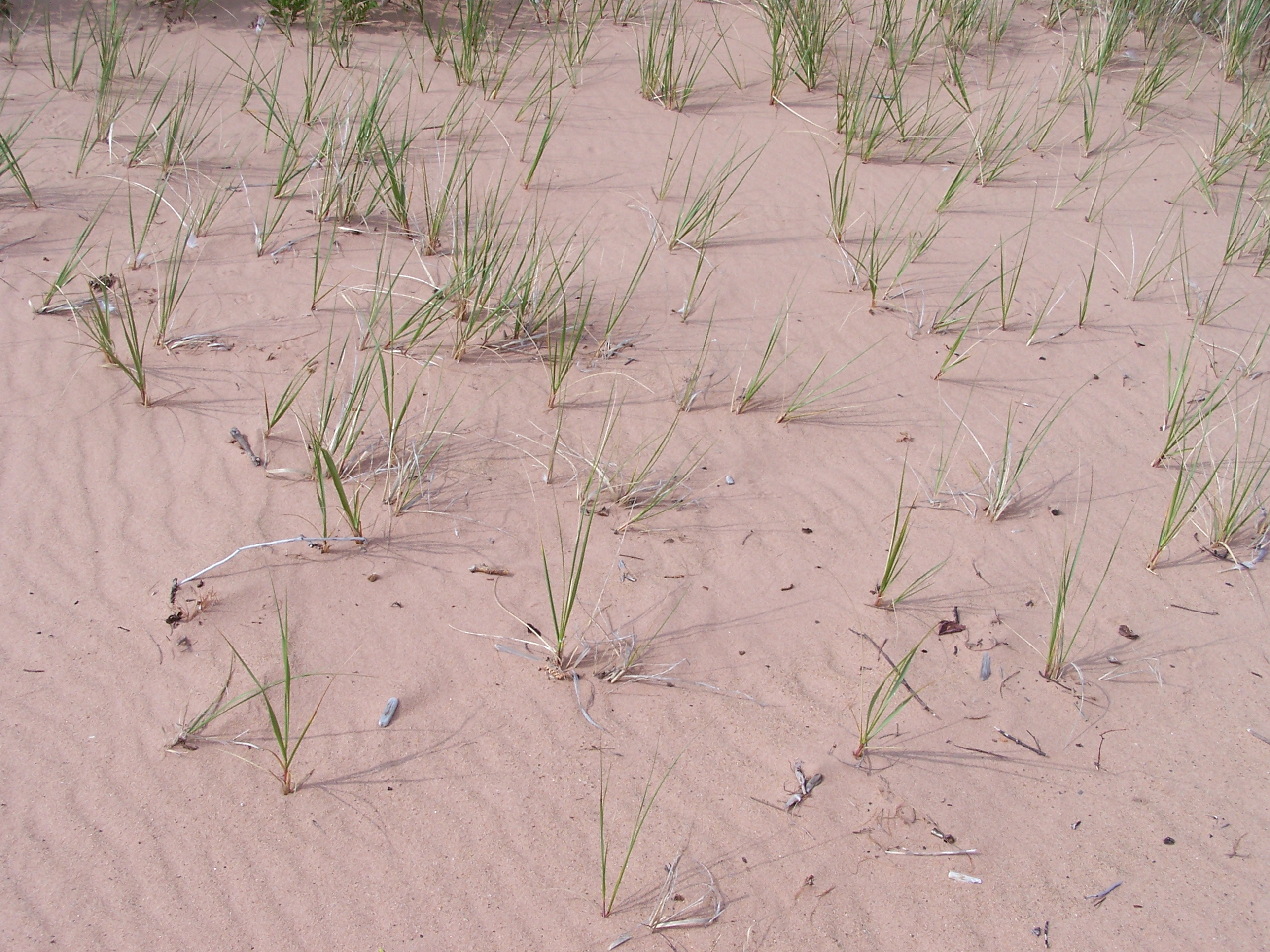 Sandscapes of the Apostles - Apostle Islands National Lakeshore (U.S ...