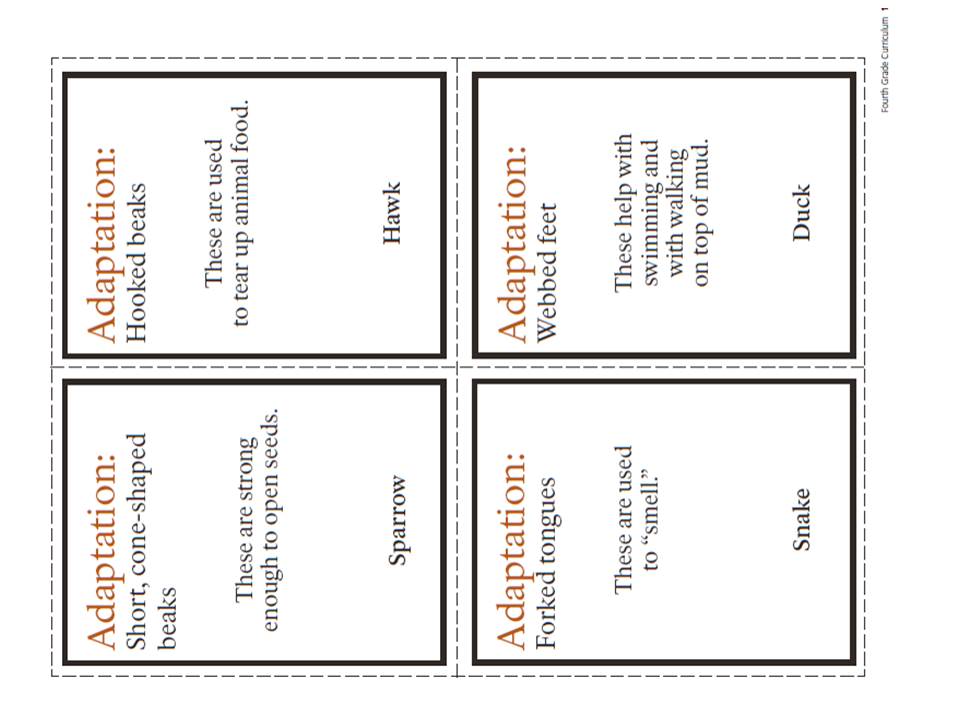 Animal Adaptations - Teachers (U.S. National Park Service)