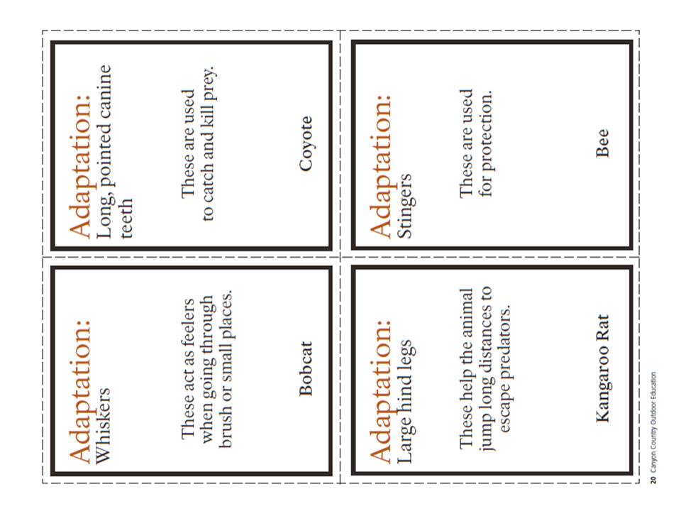 Animal Adaptations - Teachers (U.S. National Park Service)