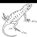 Park Fun - Arches National Park (U.S. National Park Service)