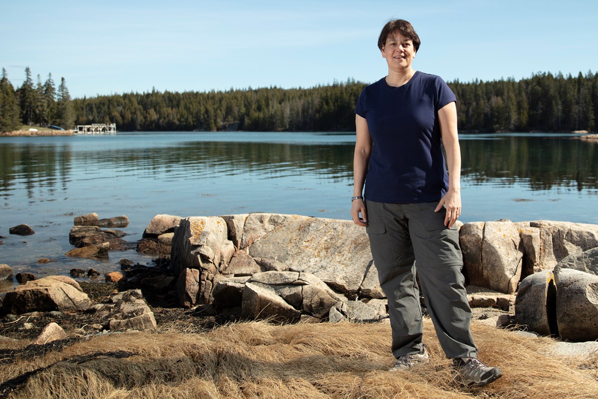 Gathering Sweetgrass and Renewing the Past: How Science at Acadia Is ...