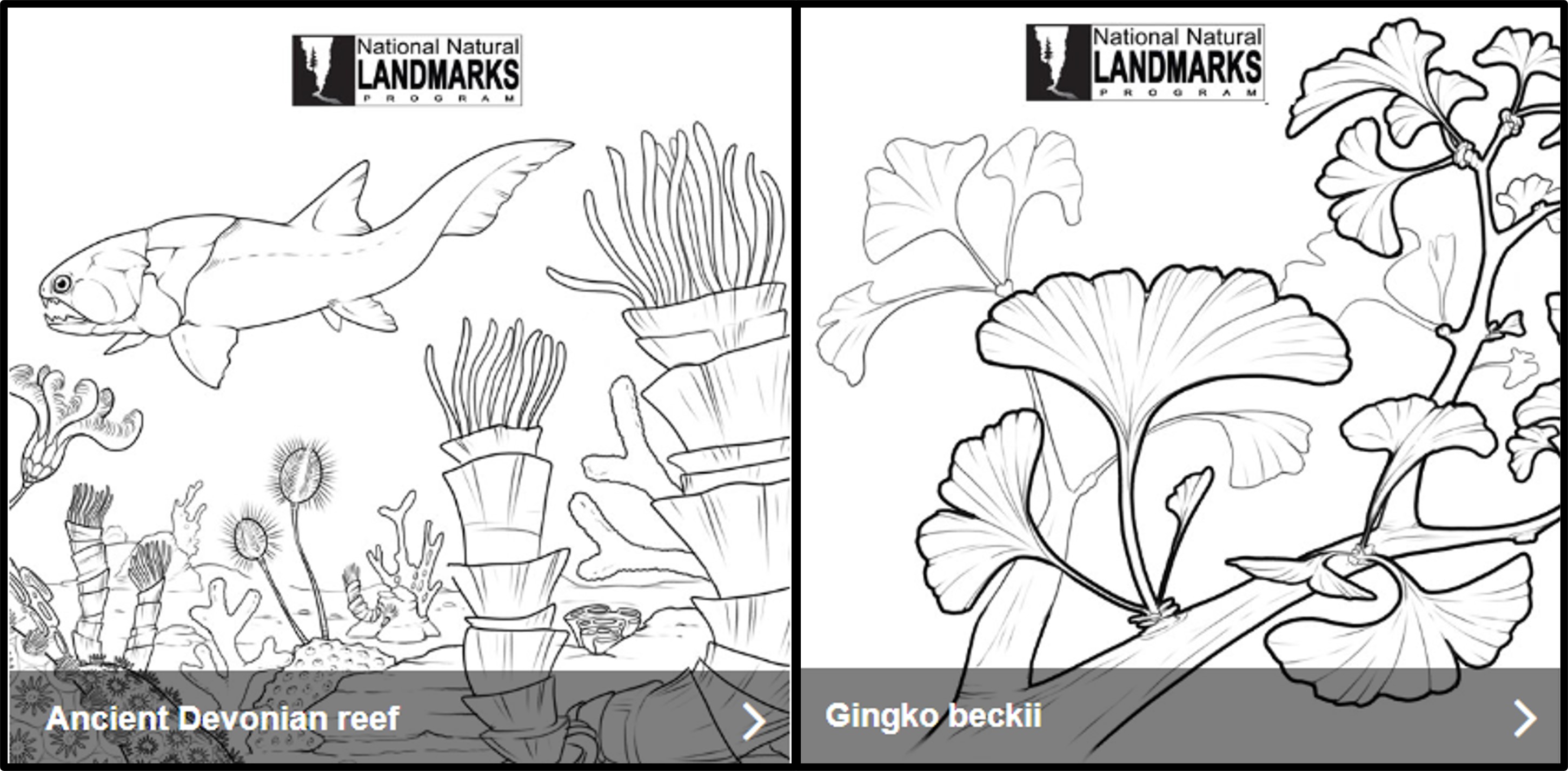 Landmark Highlights 2023 (U.S. National Park Service)