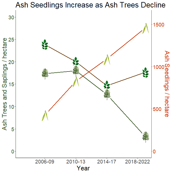 Ash Tree Update 2022 (U.S. National Park Service)