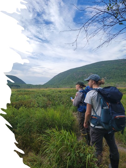 Project Profile: Restoration to Improve Trail Use in Acadia National ...