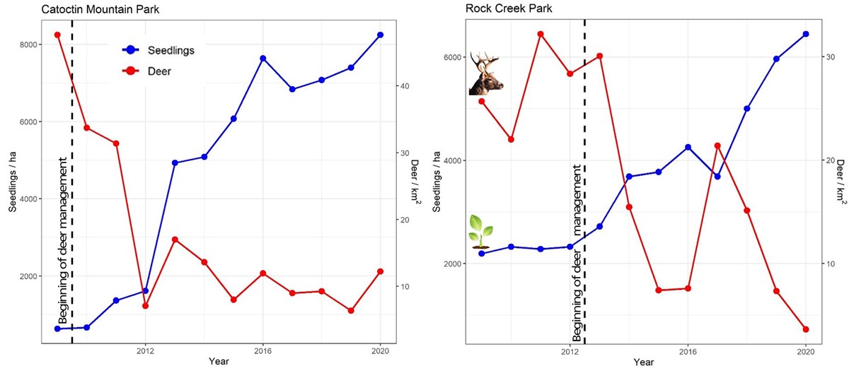 Resilient Forests Initiative - Managing Deer Impacts (U.S. National ...