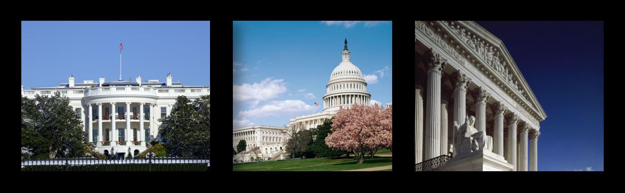 Civics 101: Principles of American Government (U.S. National Park Service)