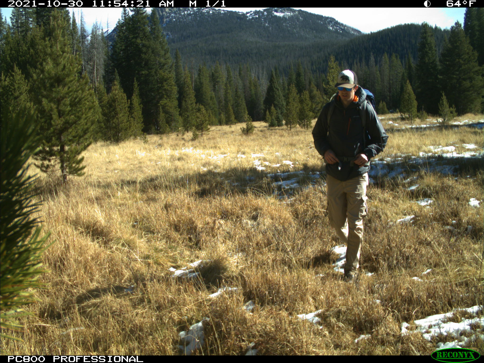 Recording Soundscapes After a Fire: It's for the Birds (U.S. National ...