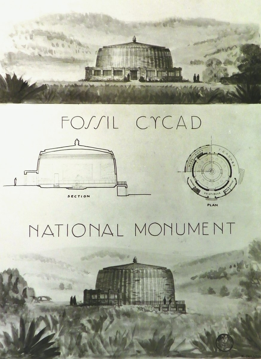 Centennial Commemoration for the Creation of Fossil Cycad National ...