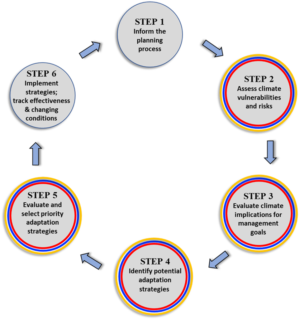 Planning for Future Climates at Wrangell-St. Elias: Mainstreaming Park ...