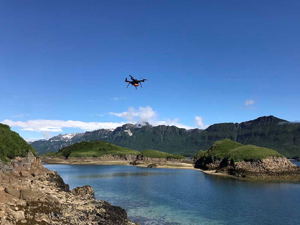 Unmanned Aerial Systems as a Tool for Natural Resource Applications (U ...