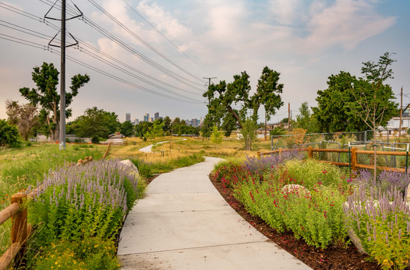 Rooted in Community: Repairing community trust through the creation of ...