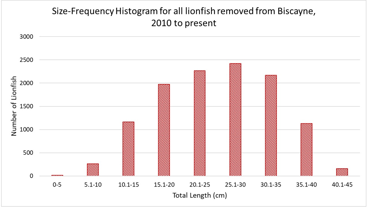 Lionfish in Biscayne National Park (U.S. National Park Service)