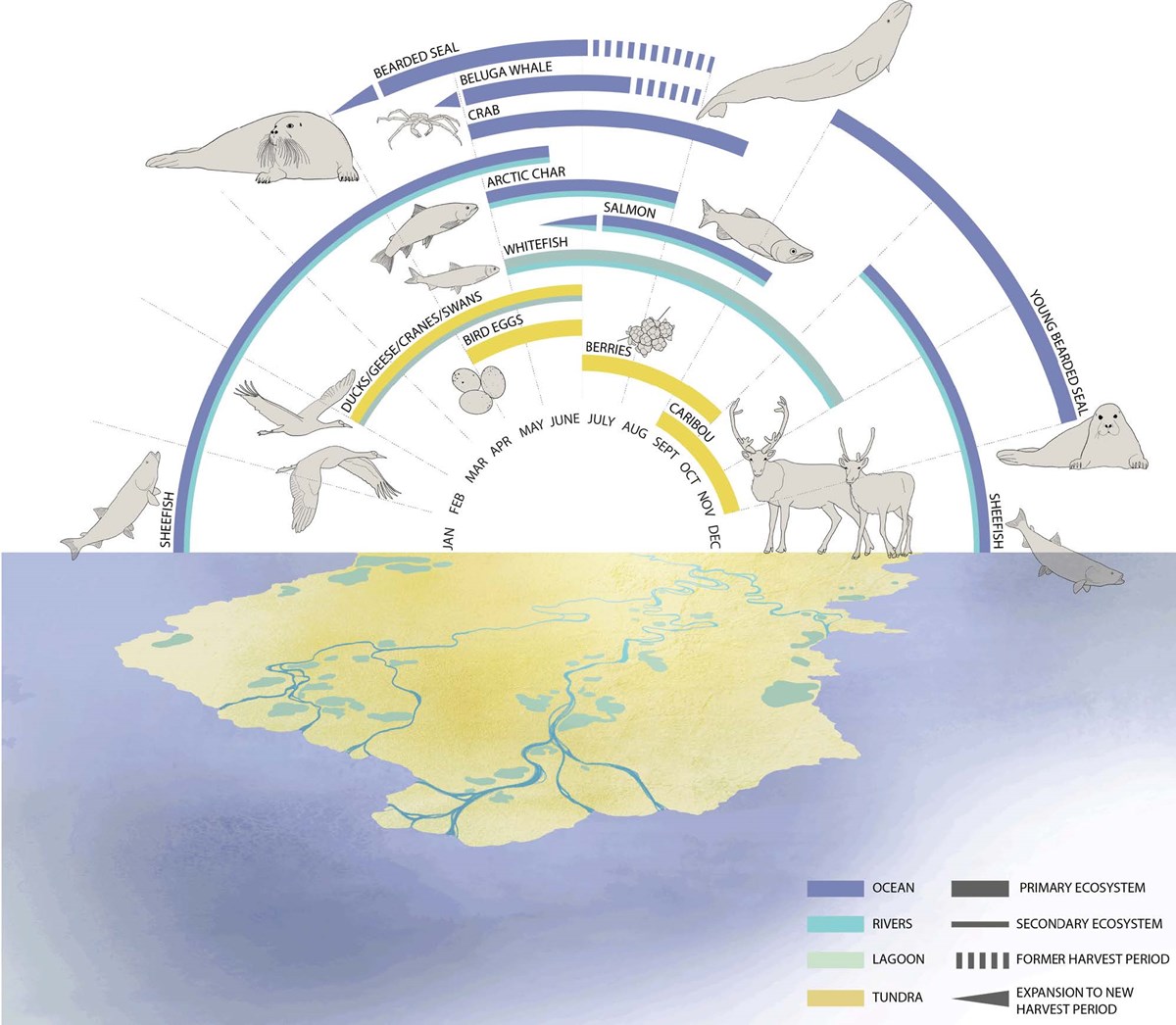 Changing climate, changing access for Arctic Indigenous harvesters in ...