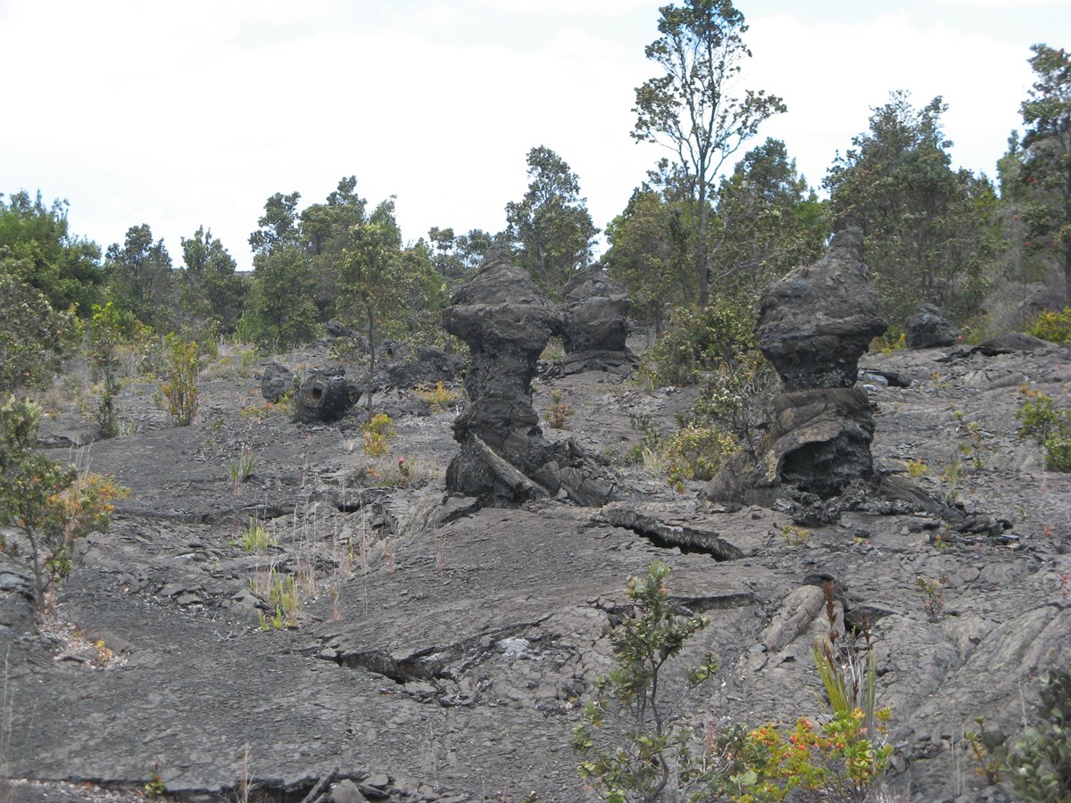 Lava Tree Mold Fossils (U.S. National Park Service)