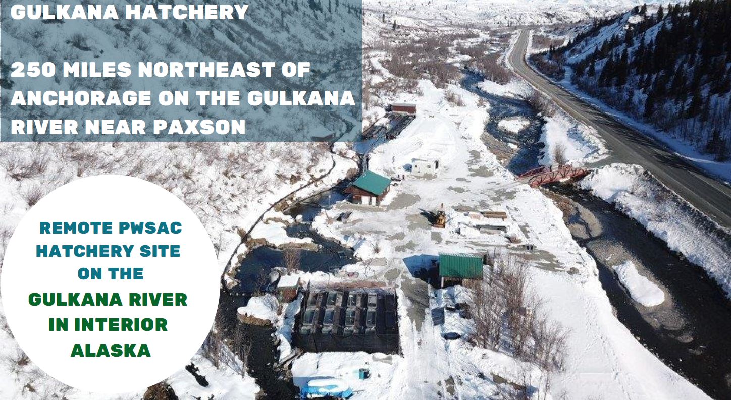 The Gulkana Hatchery, Then and Now. Prince William Sound Aquaculture ...