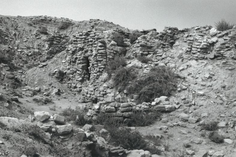 Enduring Awatovi: Uncovering Hopi Life and Work on the Mesa (Teaching ...