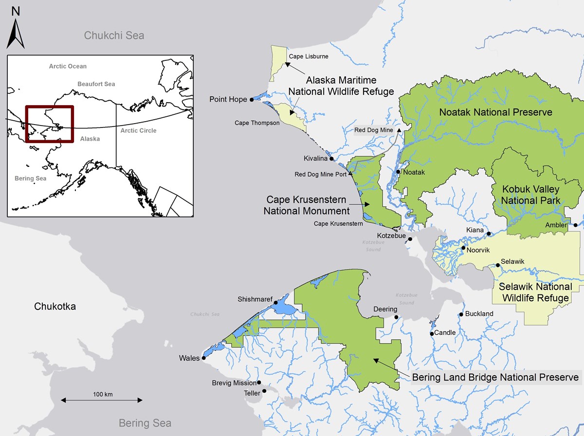 Coastal Lagoons Resource Brief for the Arctic Network (U.S. National ...