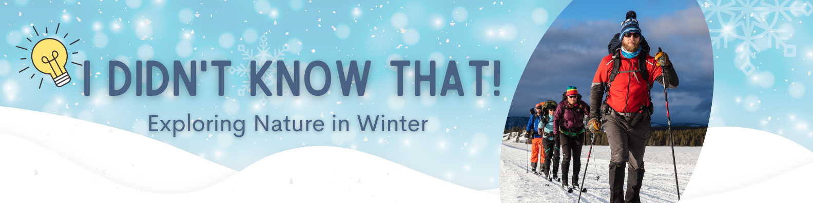 I Didn't Know That!: Exploring Nature in Winter (U.S. National Park ...