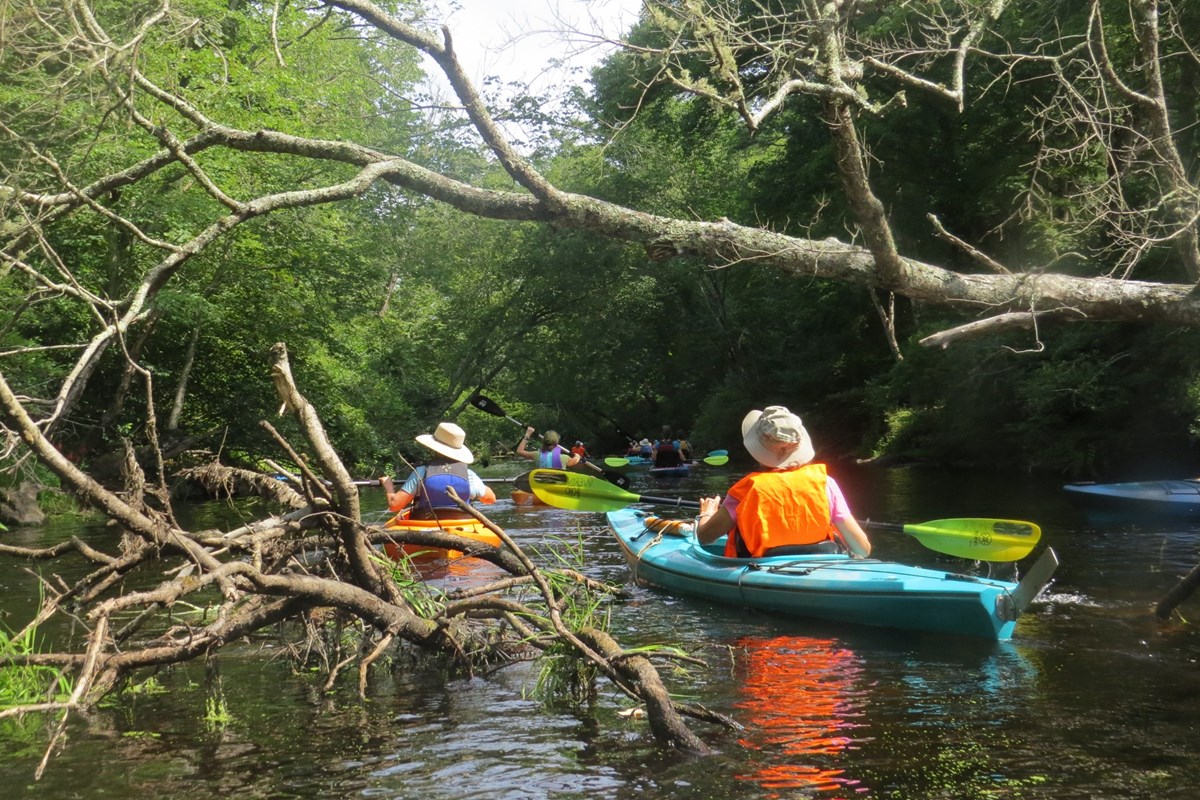 Recreation on the Wood and Pawcatuck Wild and Scenic Rivers, CT/RI ...