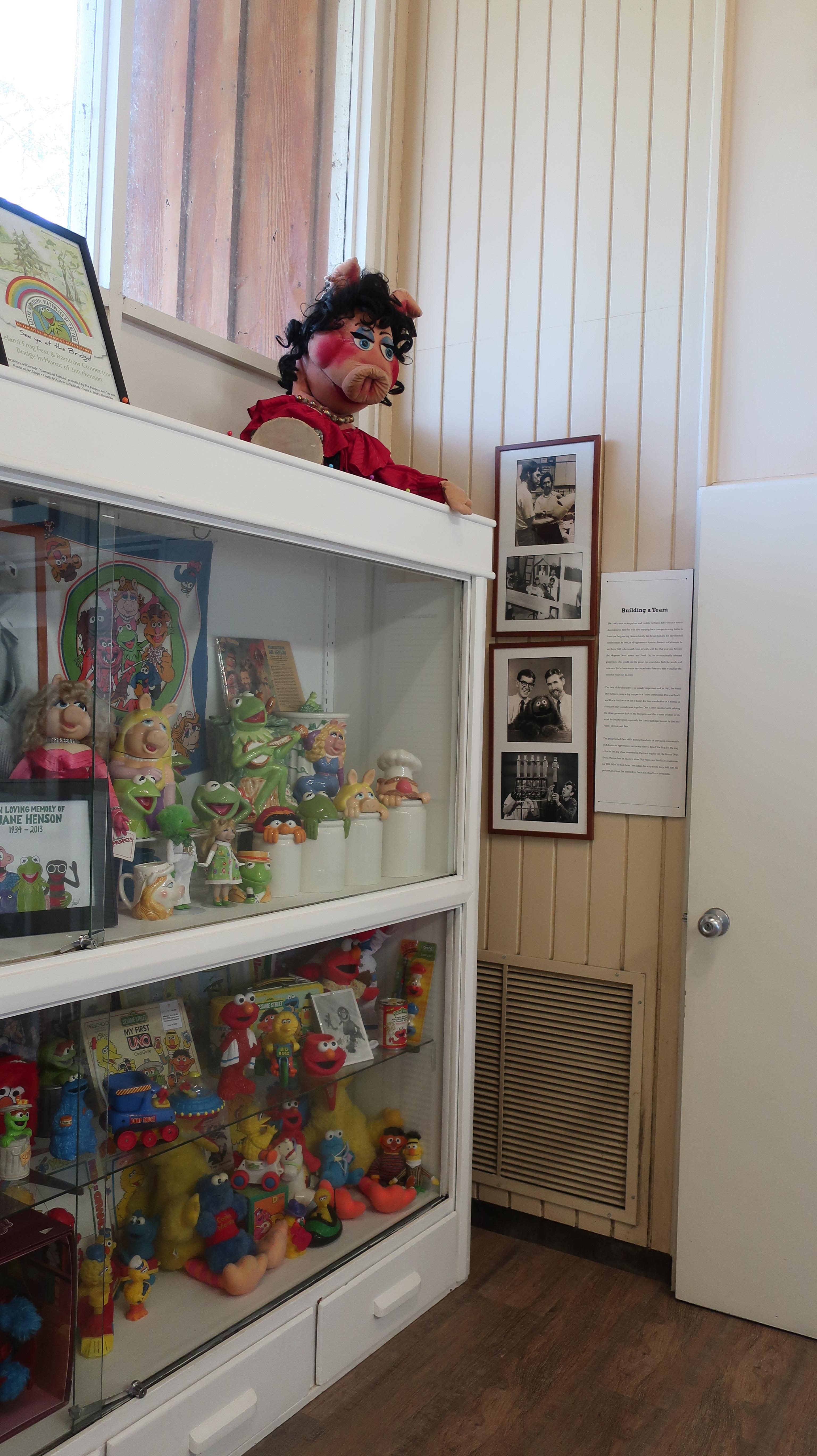 Kermit The Frog Rolling Up Window