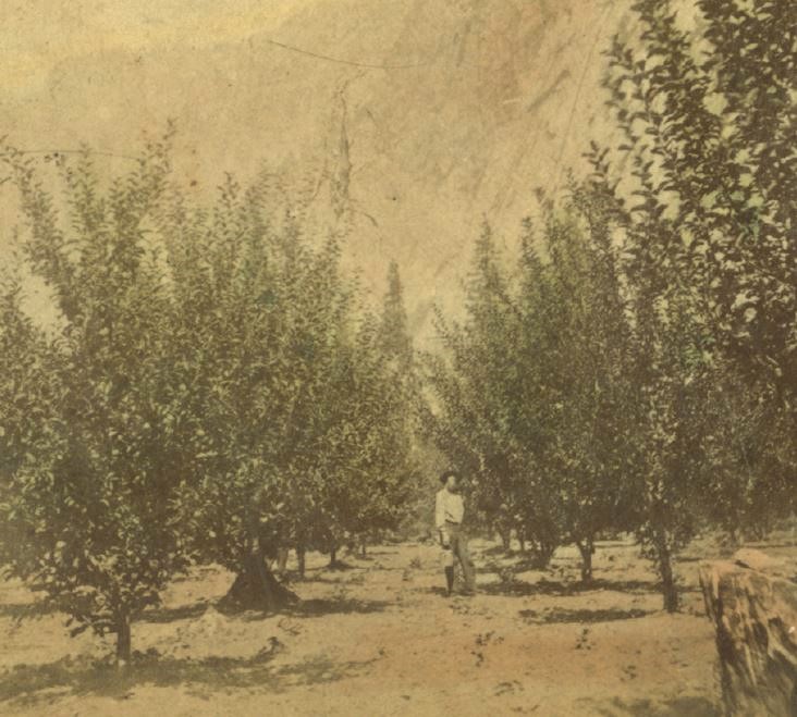Lamon Orchard (U.S. National Park Service)