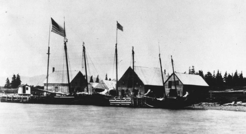 Life on an Island: Early Settlers off the Rock-Bound Coast of Maine ...