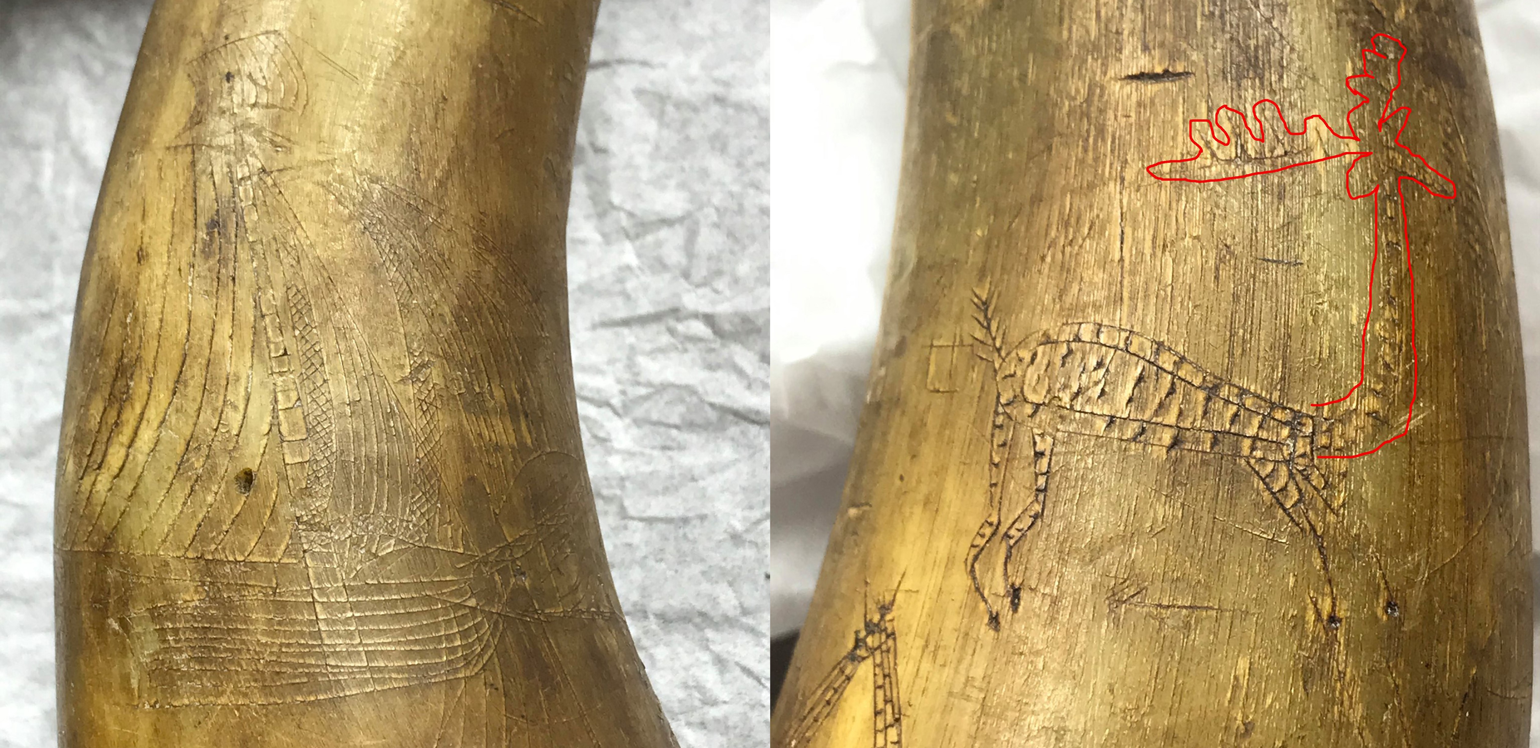 Powder Horn (U.S. National Park Service)