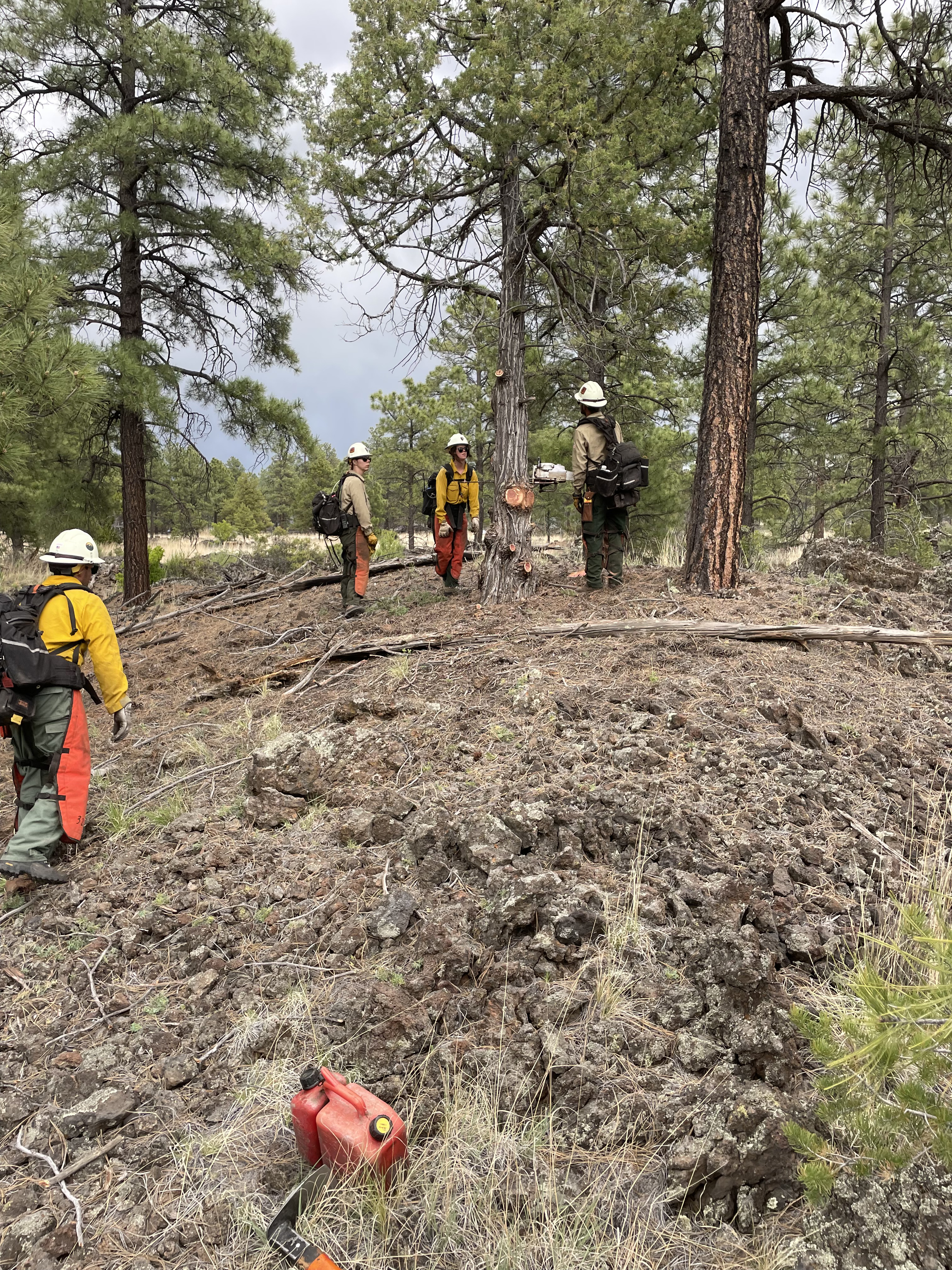 Sustaining a park and a workforce through prescribed fire (U.S ...