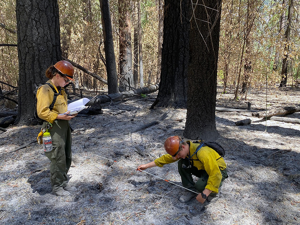 Technology Helps Measure Prescribed Fire Objectives (U.S. National Park ...