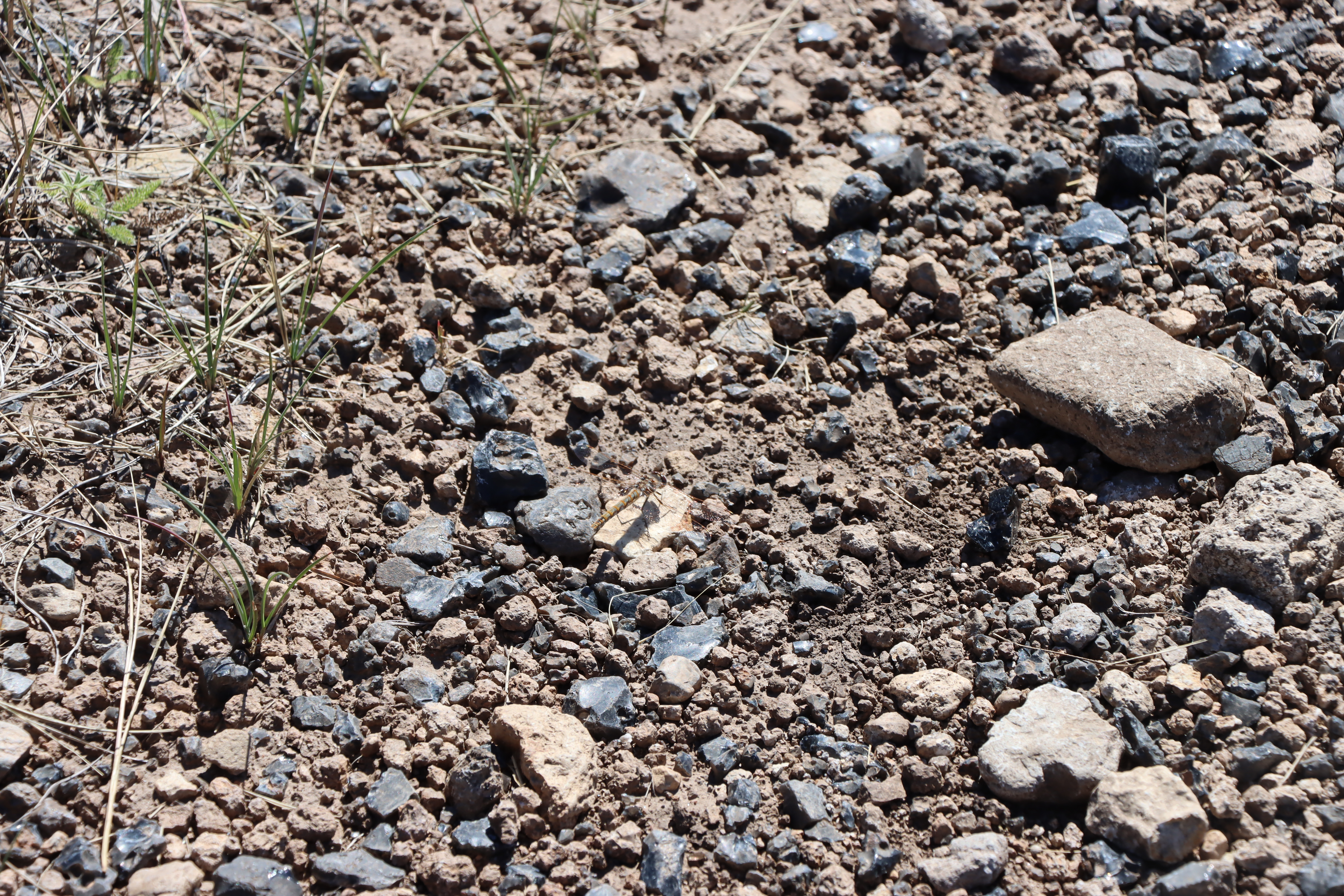 "Obsidian Valley" by Melissa Fu (U.S. National Park Service)