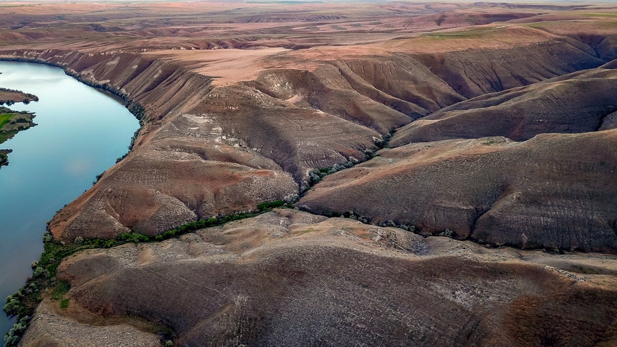 The Curious Case of the Old Dog in the Sand (U.S. National Park Service)