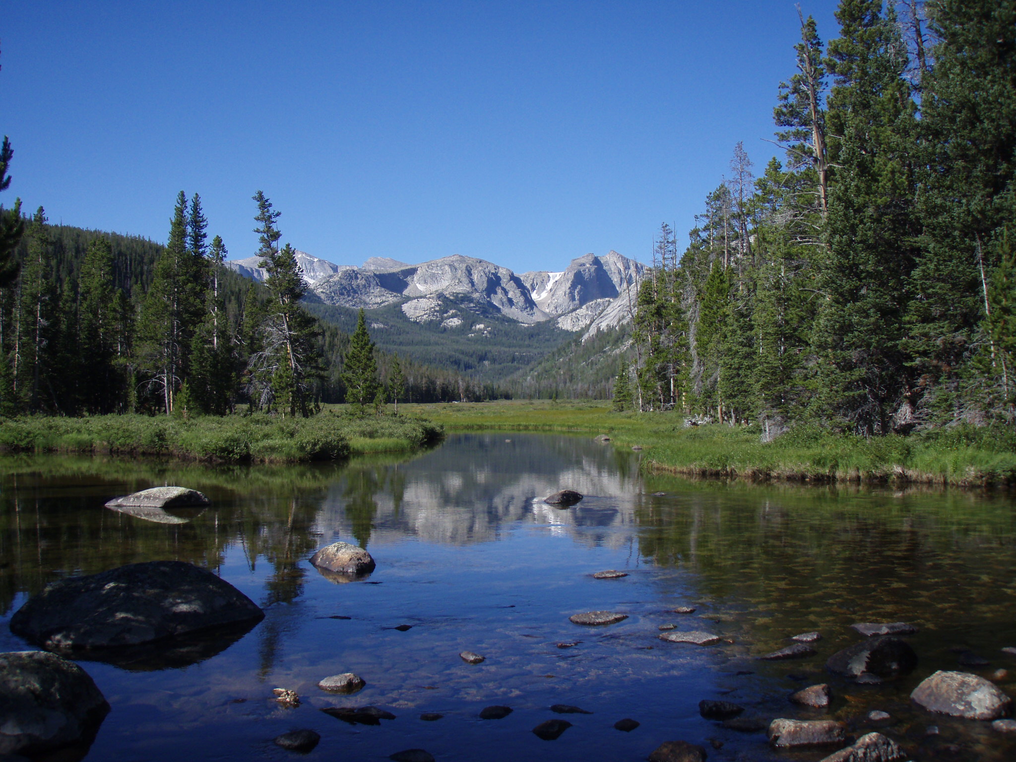 Understanding Dynamic Ecosystems: Science for Parks in the Greater ...