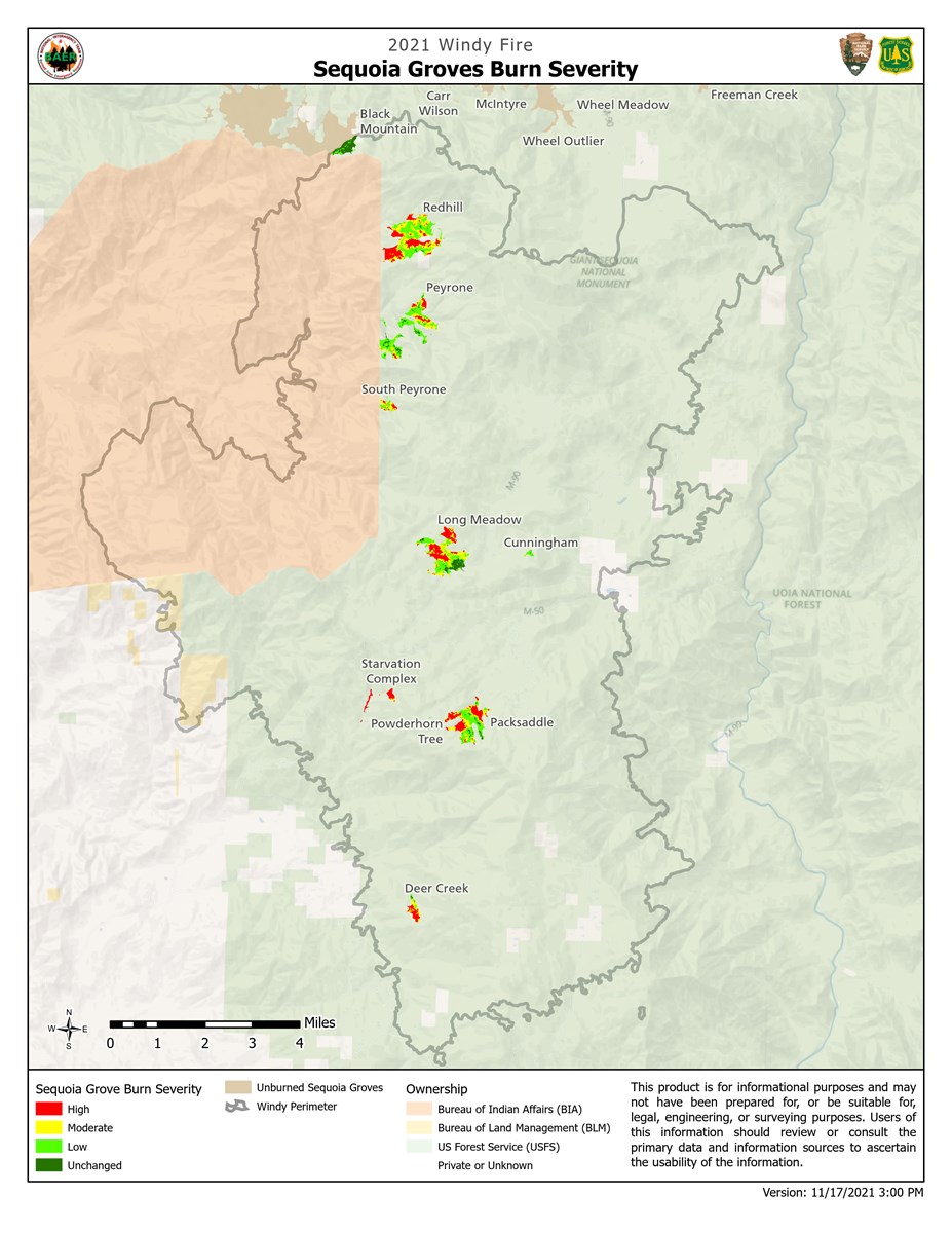 2021 Fire Season Impacts to Giant Sequoias (U.S. National Park Service)