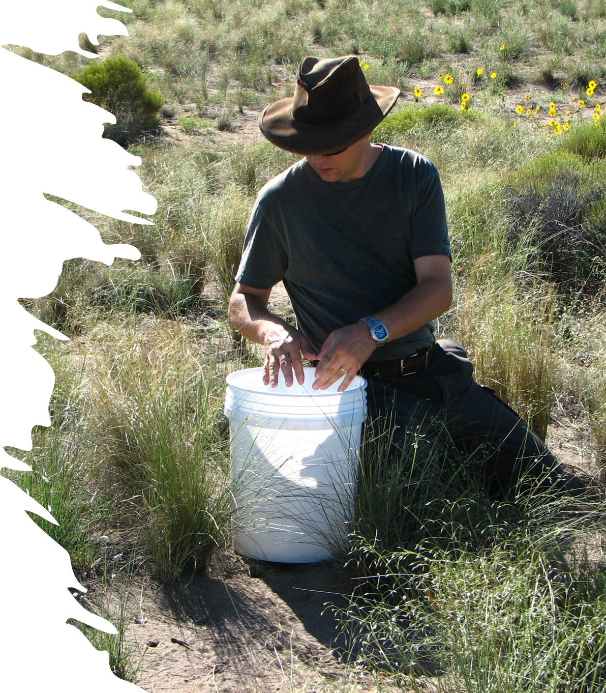Project Profile: Produce Seed for Intermountain Grasslands (U.S ...