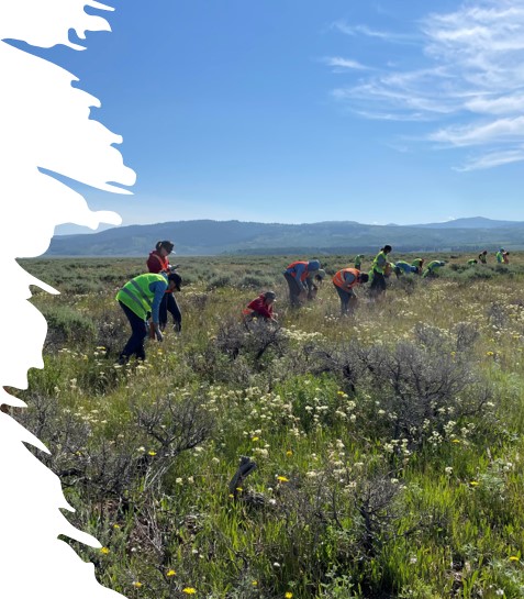 Project Profile: Increase Native Seed Production for Intermountain ...