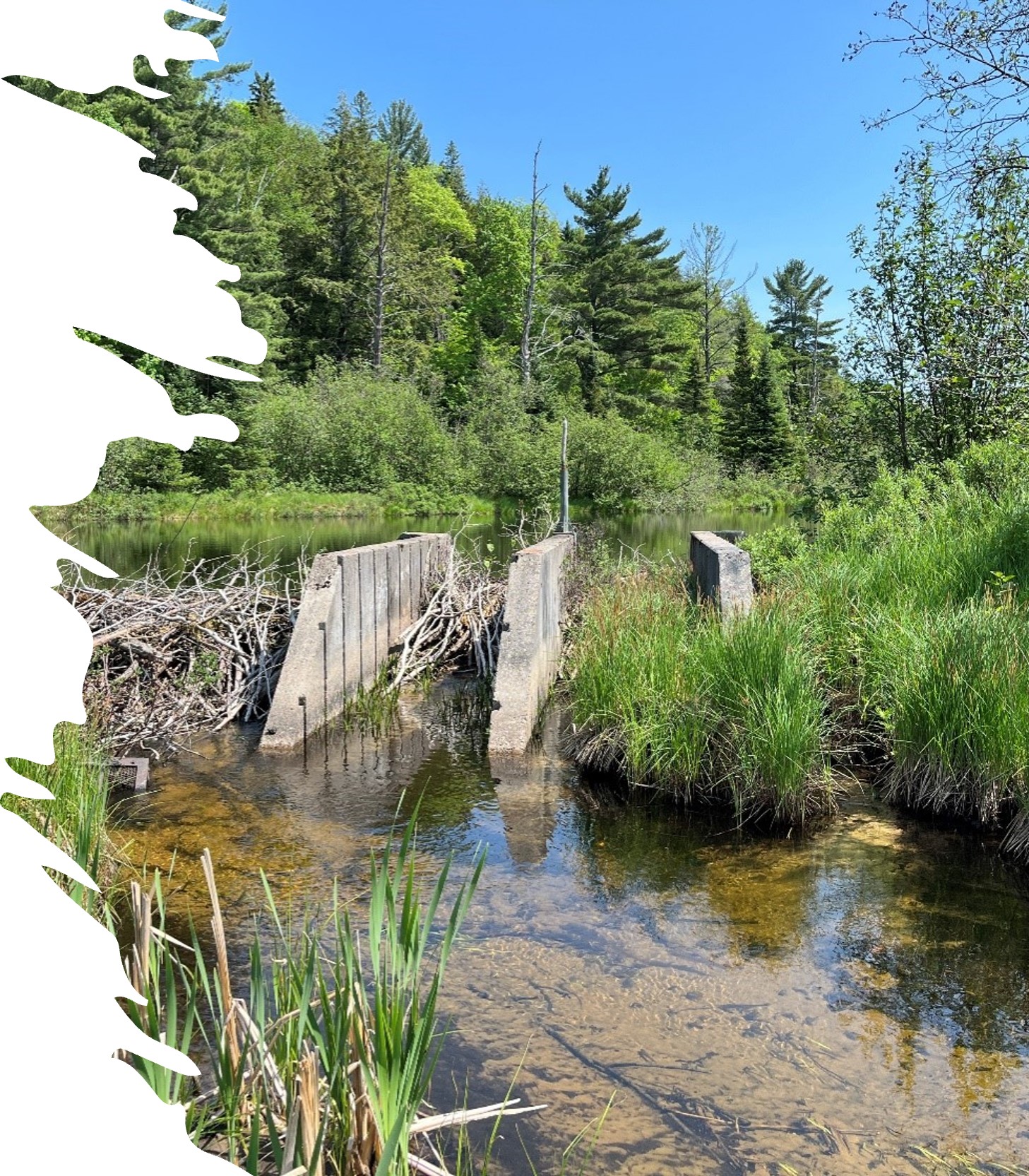 Project Profile: Beaver Basin Wilderness Lowney Creek Restoration (U.S ...