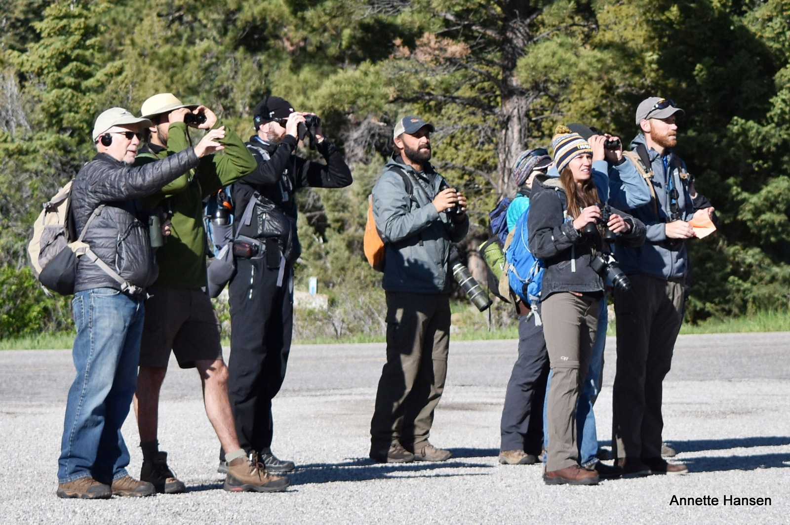 Results of the 2016 Centennial Bird BioBlitz (U.S. National Park Service)