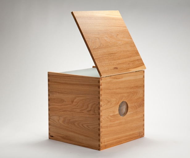 Echoes of the Olmsted Elm Assignment Three (U.S. National Park Service)