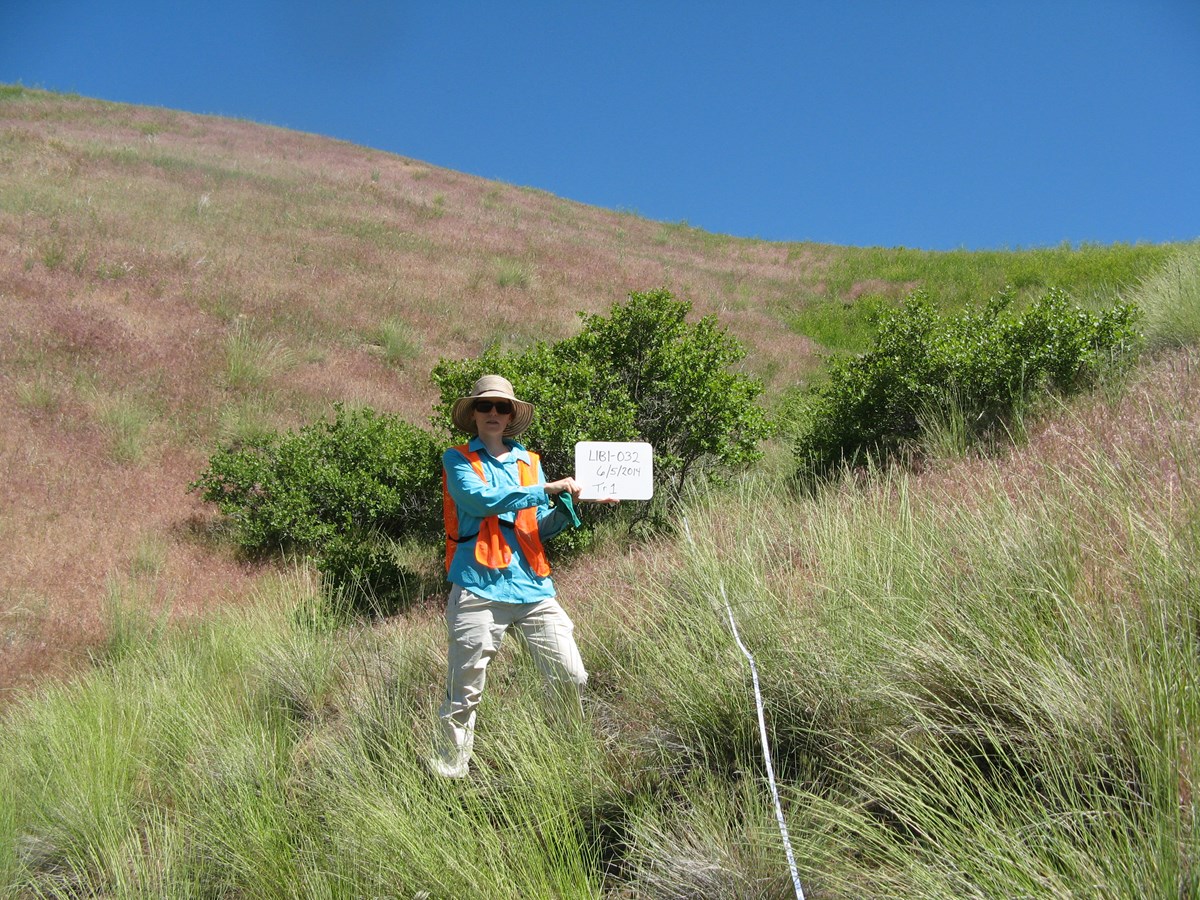 Checking Little Bighorn Battlefield's Vital Signs (U.S. National Park ...