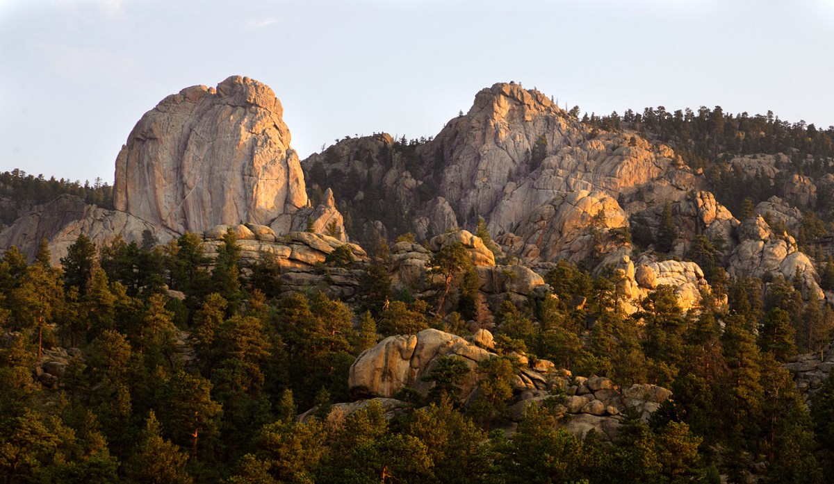 Raptor Monitoring Surveys 2022 (U.S. National Park Service)