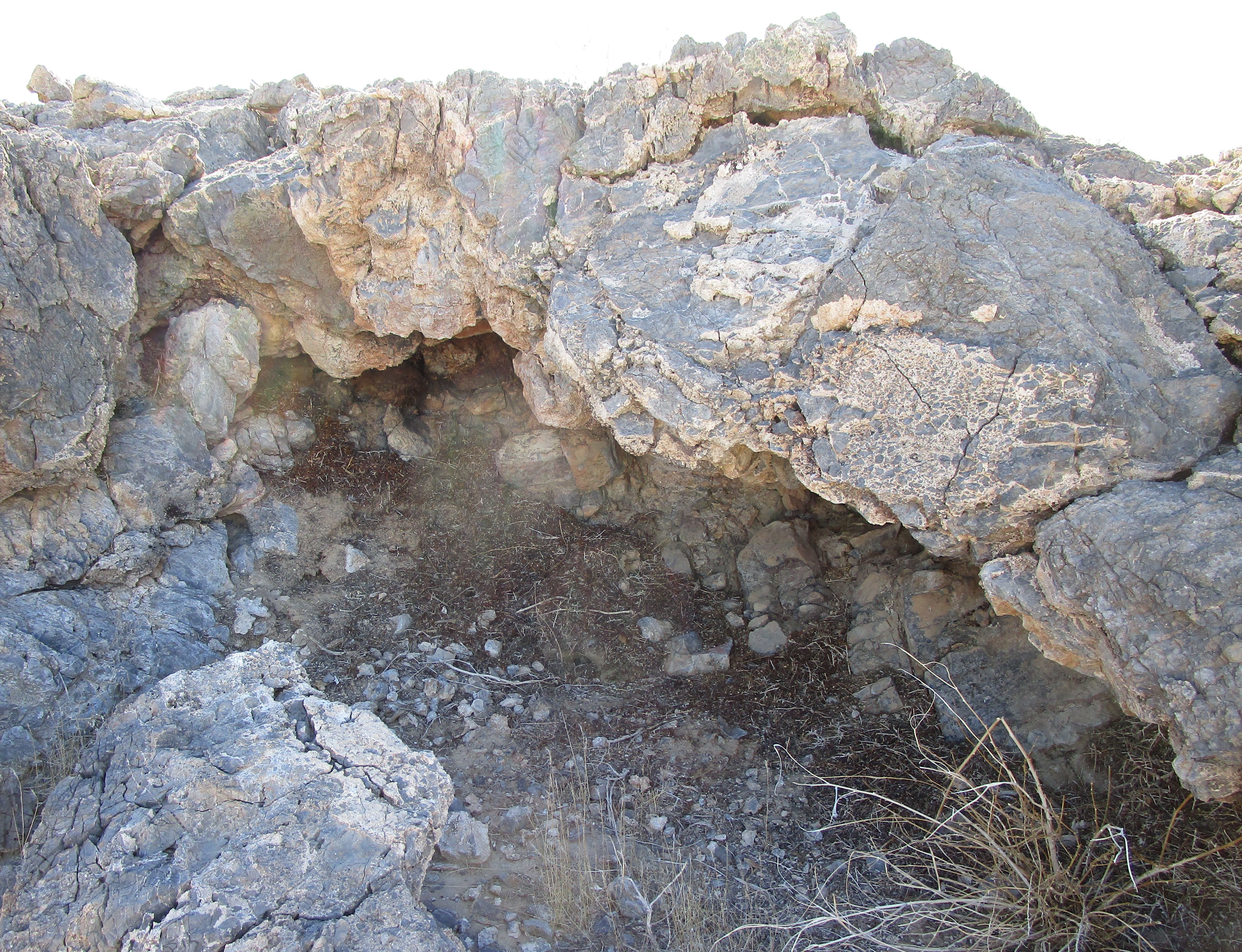 Studying the Past and Predicting the Future Using Rat Nests (U.S ...