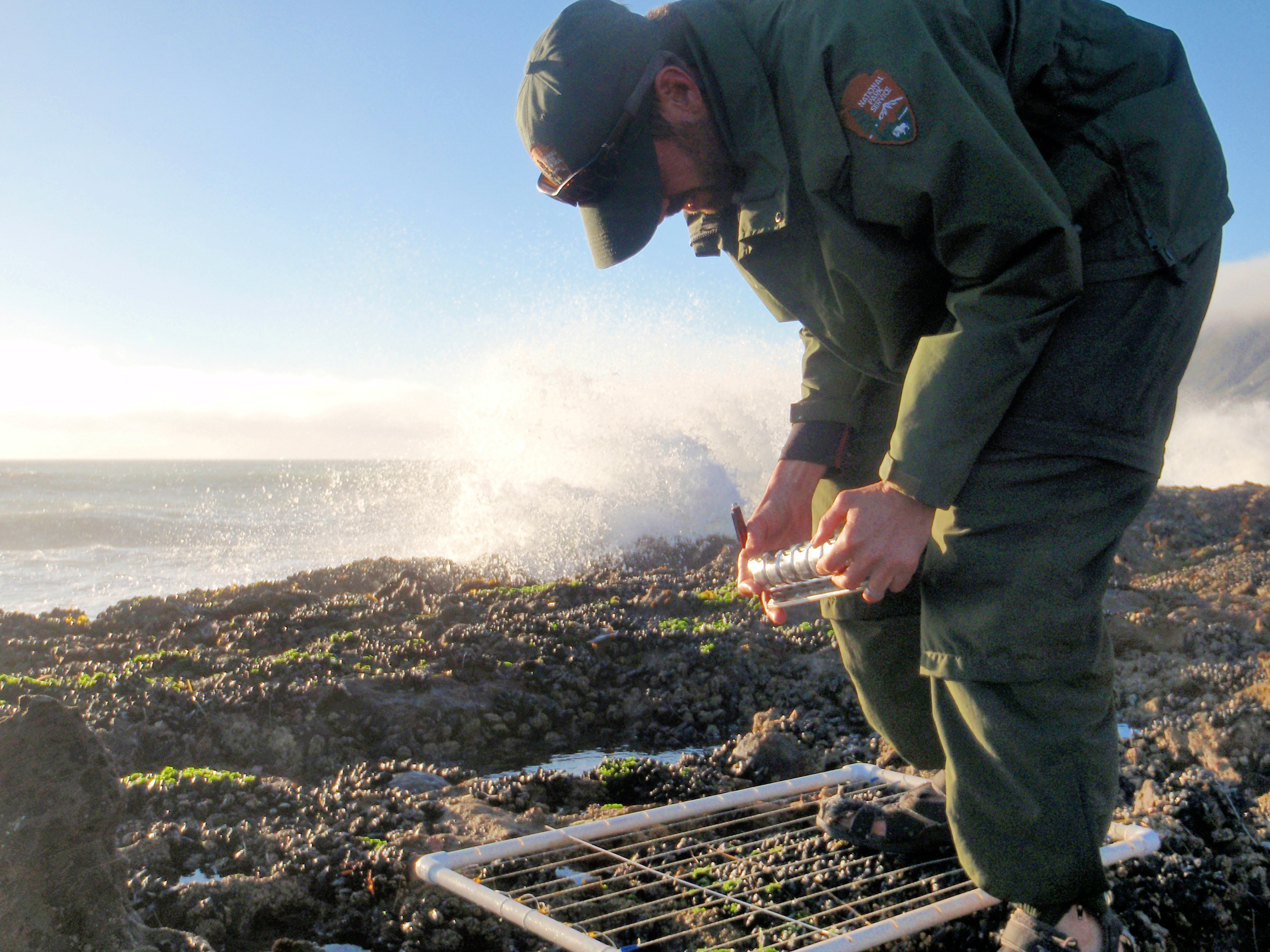Scientist Profile: Stephen Whitaker, Marine Ecologist (U.S. National ...