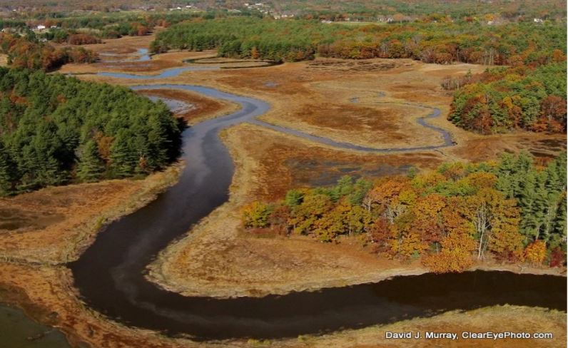 Coastal Wetlands - Key to Supporting Life in the Watershed (U.S ...