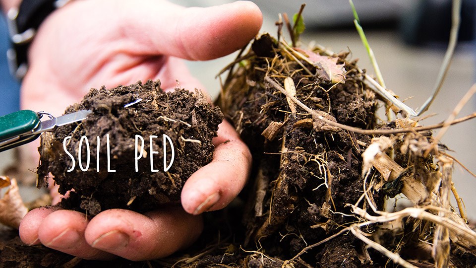 #Sciencedeskdigs: Soil Ped (U.S. National Park Service)